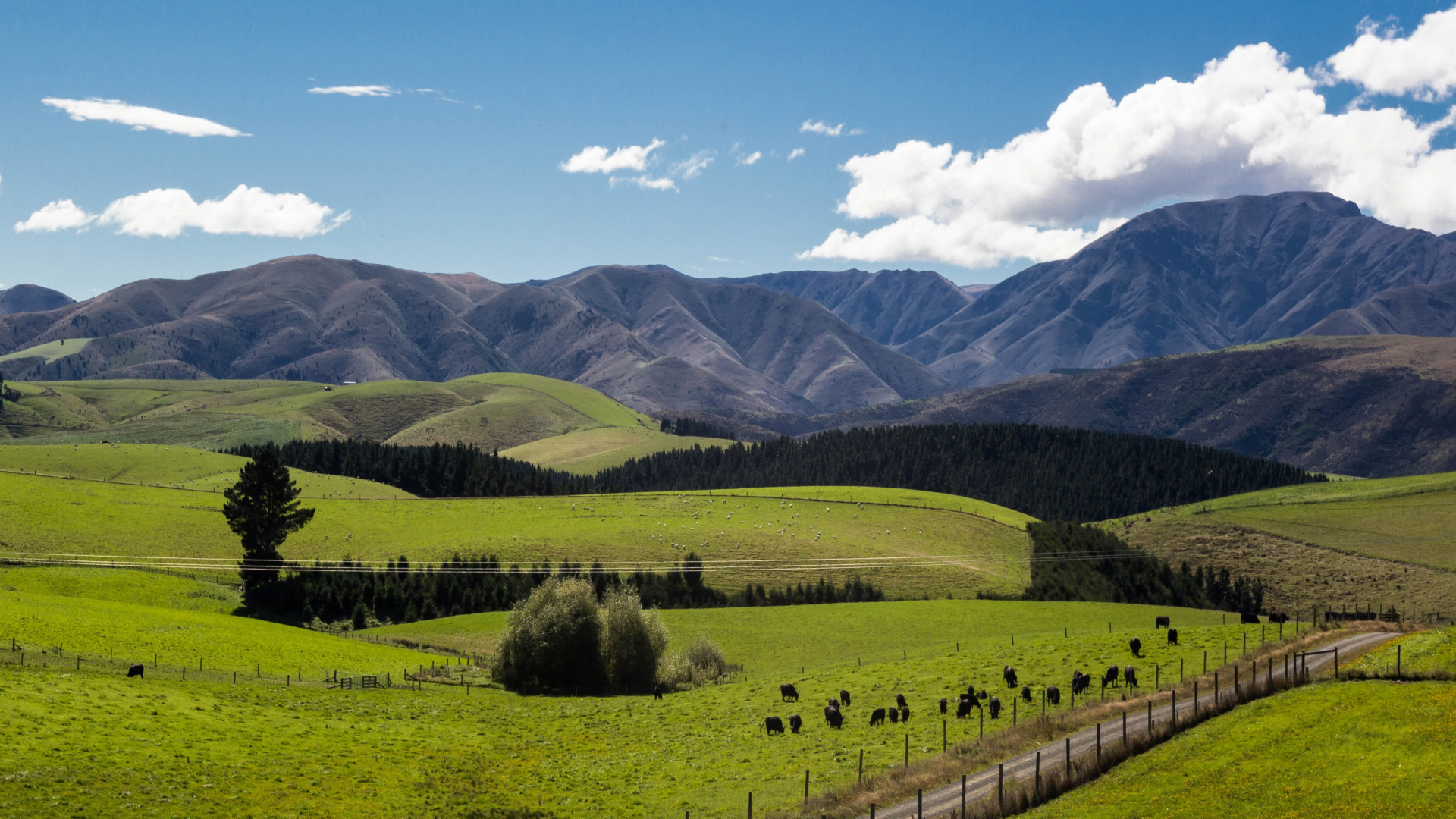 Primary ITO - Our work - Silverstripe